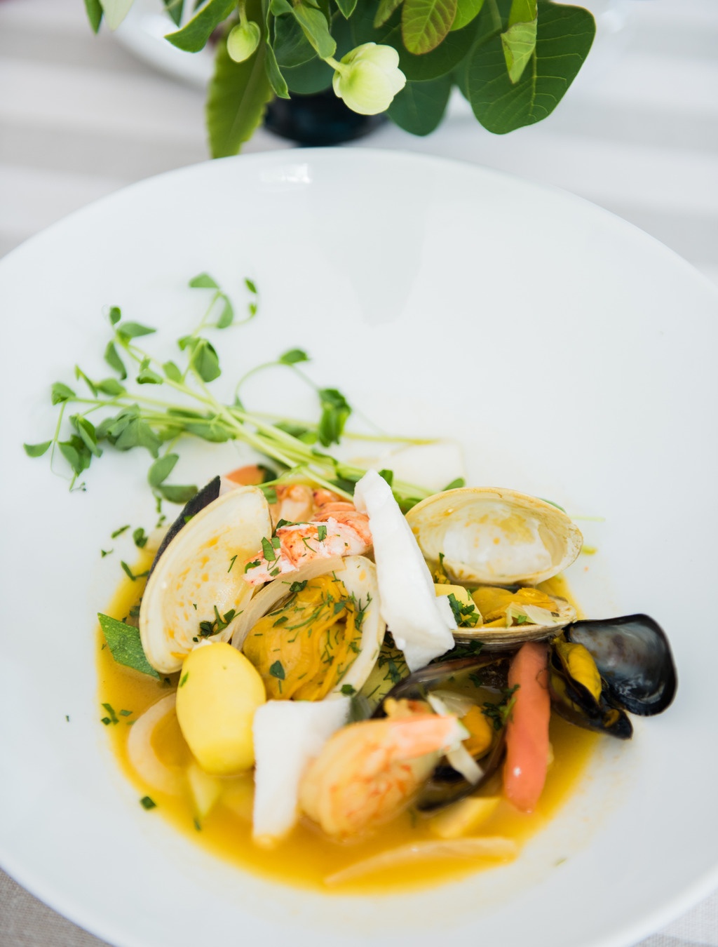 Catering Menus for Weddings, Corporate Events, BBQs & More